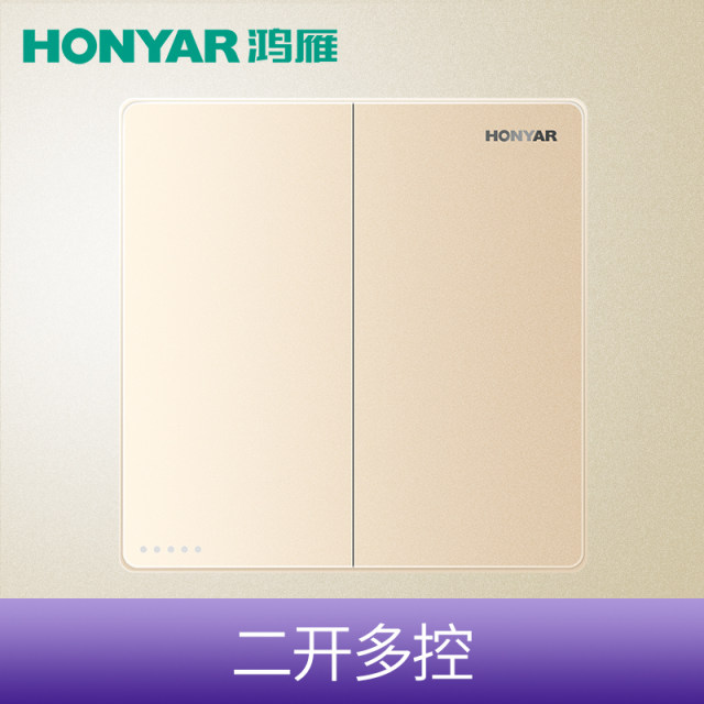 HONYAR鸿雁 Q3/纯悦系列 86型开关插座 香槟金 发货通知：周一-周四下单隔天发，周五-周日下单周一发 - 鸿雁商城